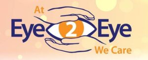 Introducing Eye2Eye: Peer Support by and for People who are Blind or ...